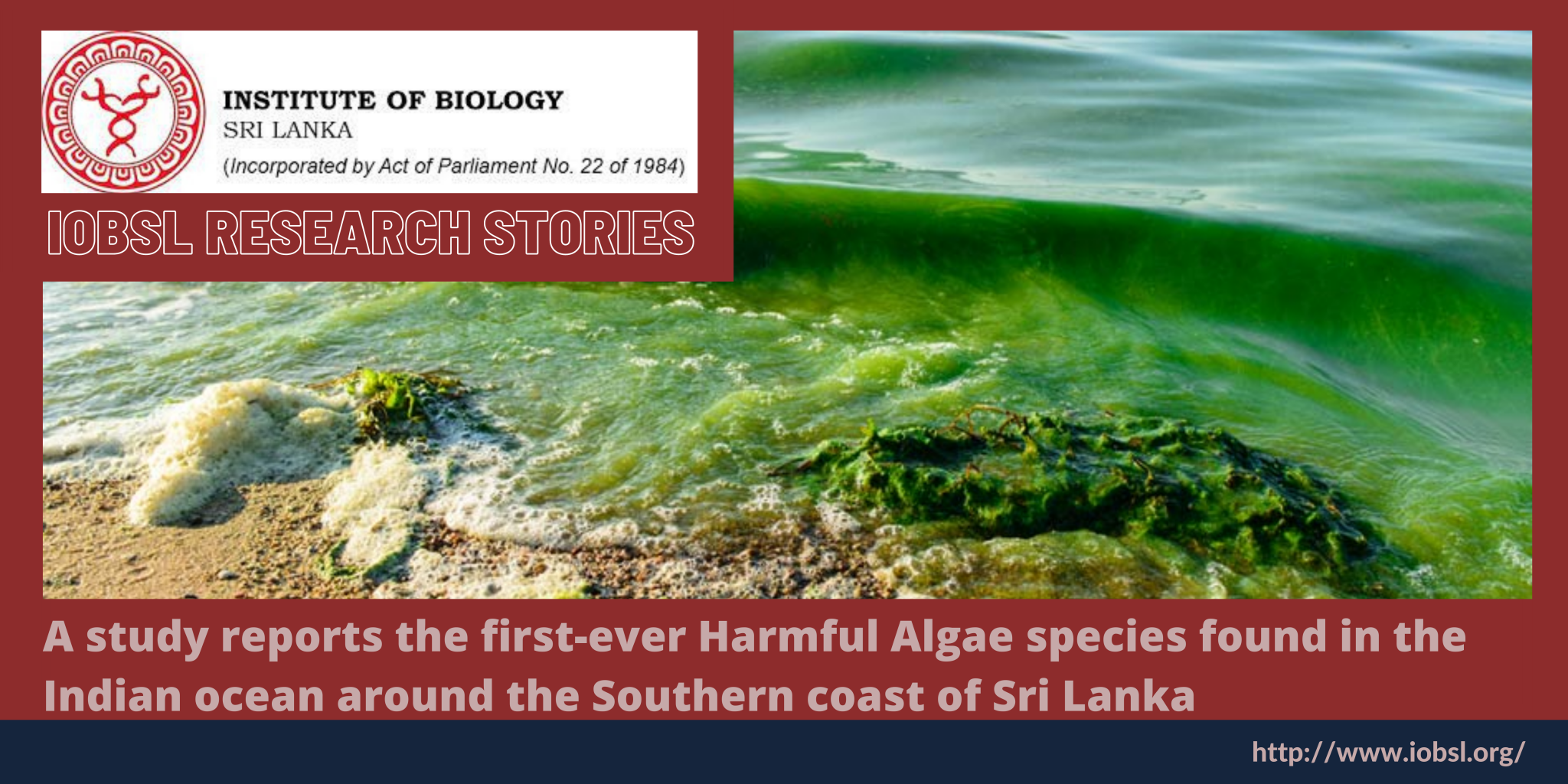 A study reports the first-ever Harmful Algae species found in the ...