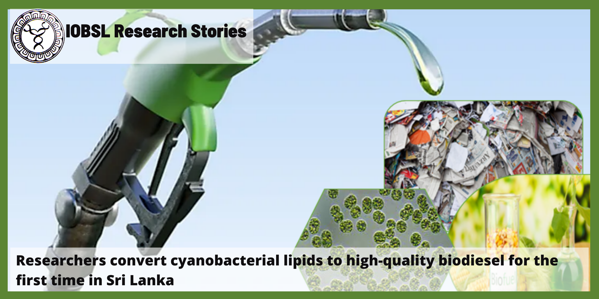 Researchers convert cyanobacterial lipids to high-quality biodiesel for ...
